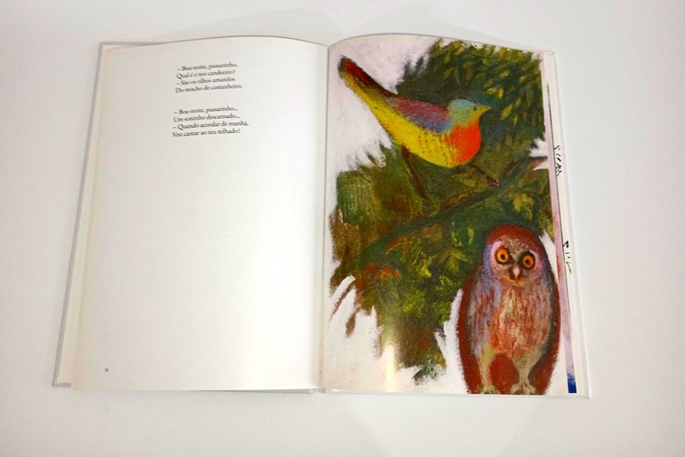 Mistérios - Matilde Rosa Araújo Cedofeita, Santo Ildefonso, Sé ...