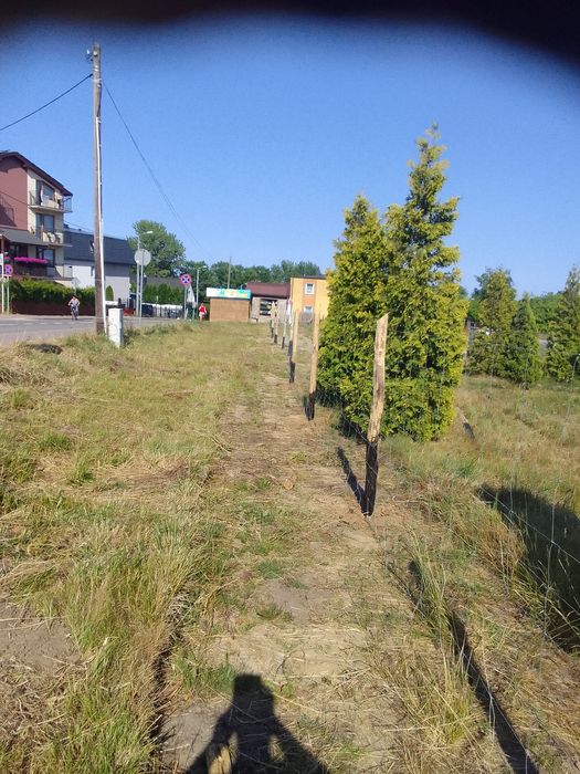 Ogrodzenia z siatki leśnej budowlane leśne tylko 15 zł za metr bieżący ...