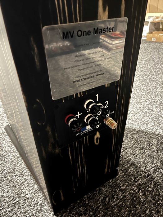 Kolumna podłogowa - Davis Acoustics MV One Master (za parę) Garwolin ...