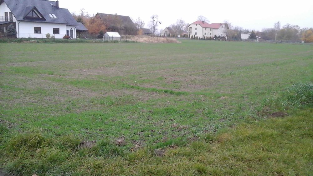 Działka budowlano-usługowa 14 ar miejsce gmina świerczów Miejsce • OLX.pl