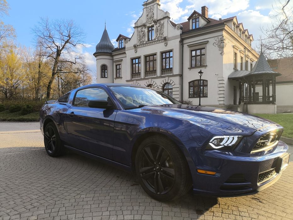 Ford Mustang V gen Jedlicze • OLX.pl