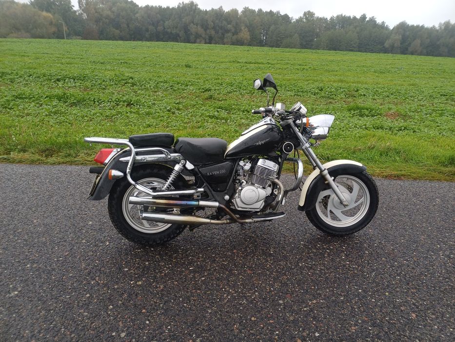 Zipp Raven 250 stan bardzo dobry Barcikowo • OLX.pl