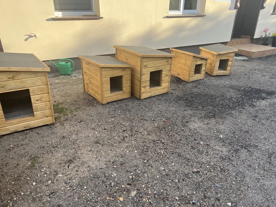 Buda do psa jednospadowa Kobylin • OLX.pl