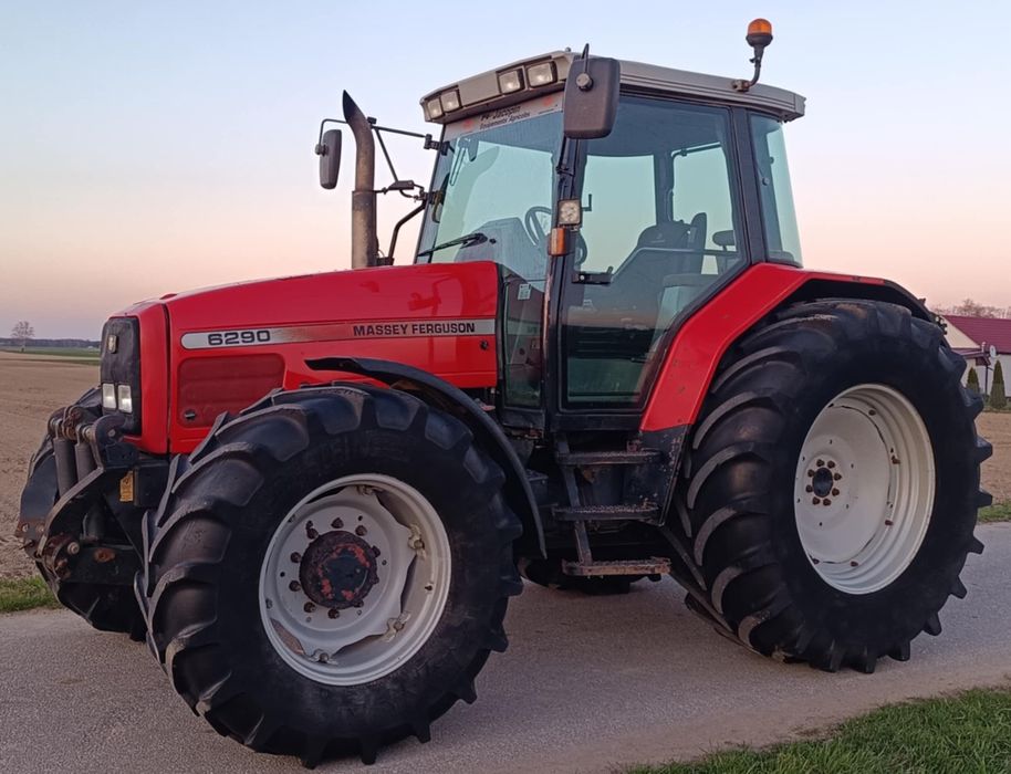 Massey Ferguson 6290 Zbuczyn • OLX.pl