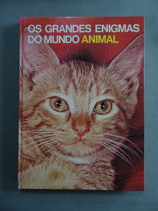 Livro - Os grandes enigmas do mundo animal (Animais domésticos 2 ...