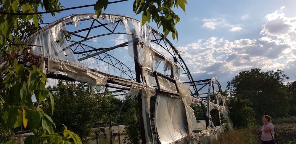 Теплицы для огорода: 80 000 грн. - Сад / город Одеса на Olx