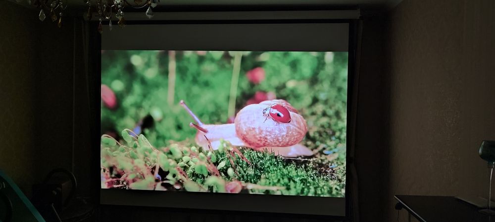 Проектор Panda Stella-A 1920x1080 супровід 4к 8000 Люмен 600 ансі: 5 ...