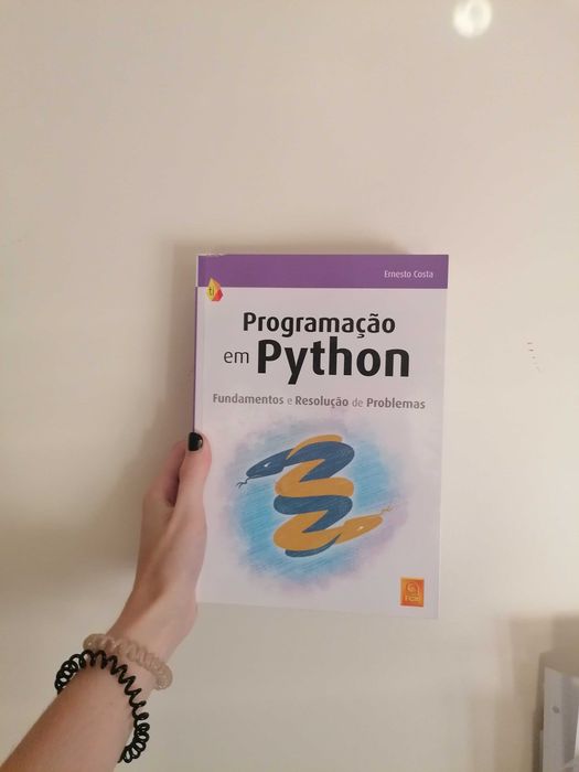 Livro "Programação em Python: Fundamentos e Resolução de Problemas ...