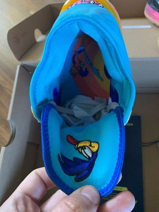 Nike LeBron Low 18 Space Jam 2 Wile E. Coyote vs Roadrunner NOWE! US10 ...