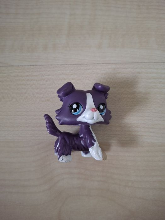 Lps littlest pet shop collie 1676 Lublin • OLX.pl