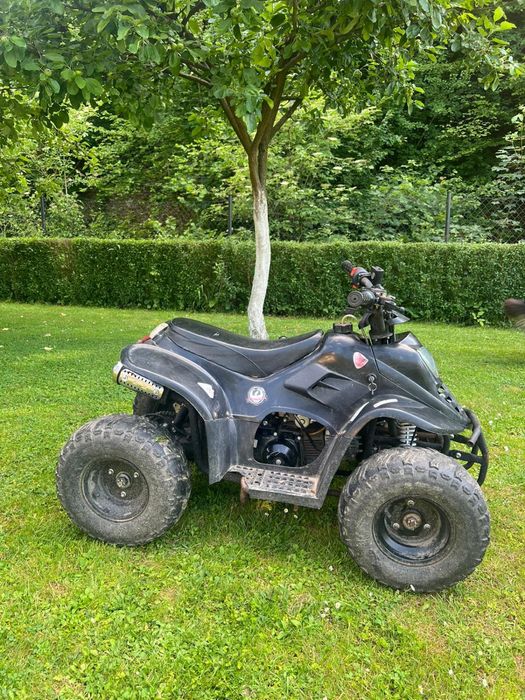 Mini Quad 125cc - sprzedam Tarnawa Górna • OLX.pl
