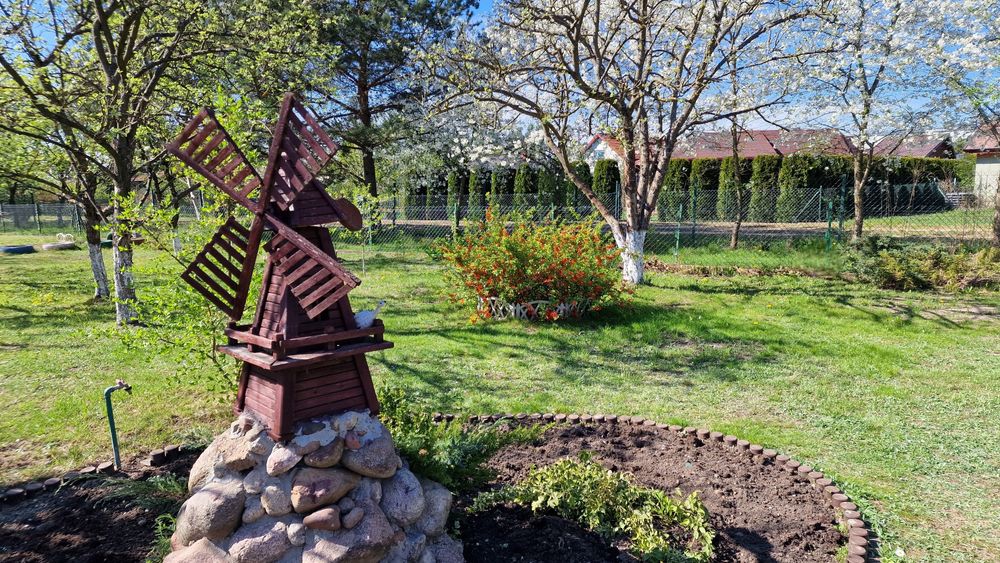 Działka ROD Dojlidy Białystok Kawaleryjskie • OLX.pl