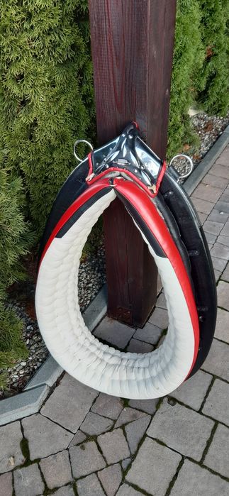 Dla Ciebie wszystko - sprawdź nowe oferty!