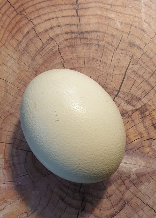 Dla Ciebie wszystko - sprawdź nowe oferty!