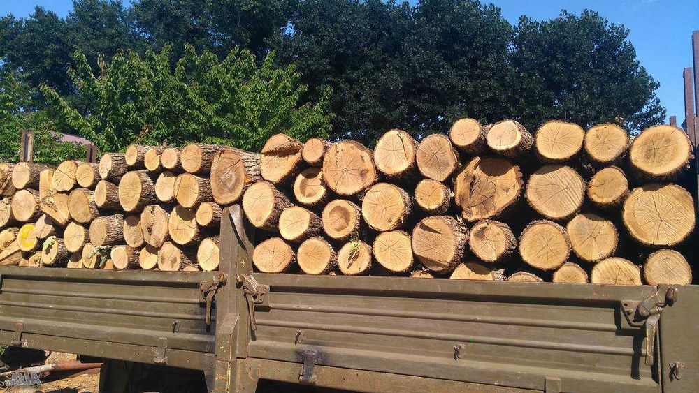 Купить дубовые дрова. Любые объемы. Разные породы. 2 скм: 820 грн ...