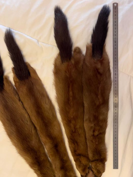 Estola em peles de Marta Ericeira • OLX Portugal