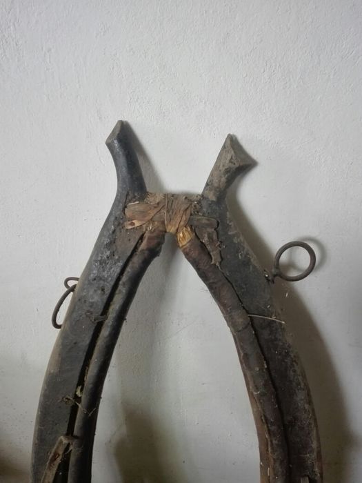 Homonto - OLX.pl - strona 2