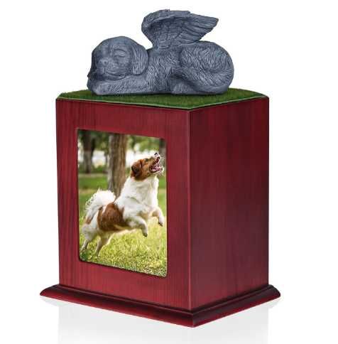 Urna Dla Psa Z Ramką na Zdjęcie Bielsko-Biała • OLX.pl