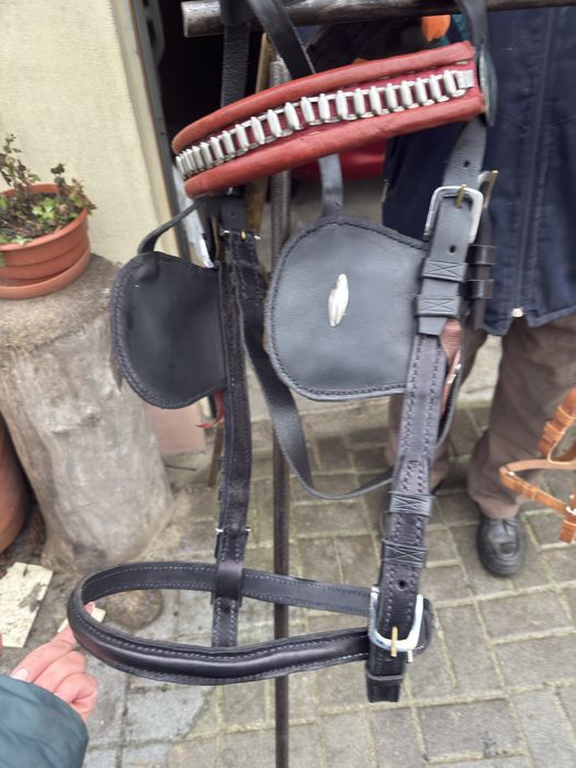 Kantar z okularami Koluszki • OLX.pl