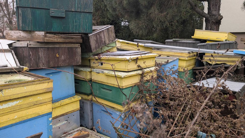 Ule dadanta styrodur Kompletne, uzywane Radwanice • OLX.pl