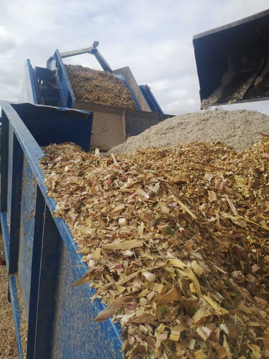 Kukurydza w belach Milewo • OLX.pl