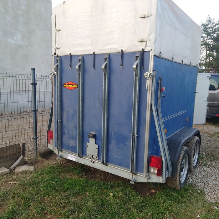 Böckmann na 2 konie z dokumentami DCM 2000 Nowy Targ • OLX.pl