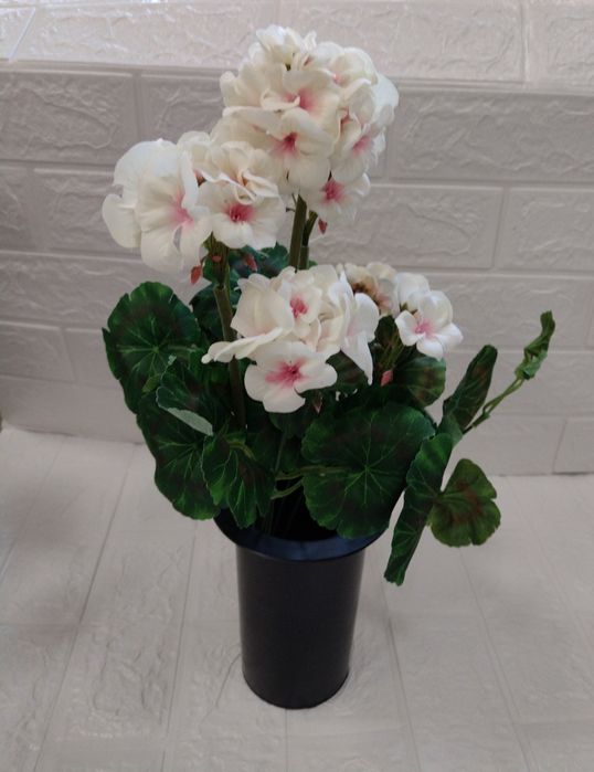 Dla Ciebie wszystko - sprawdź nowe oferty!