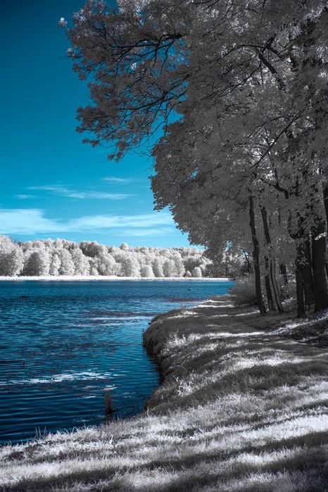 Sony A7R II Full Spectrum Astro IR Świdnik • OLX.pl