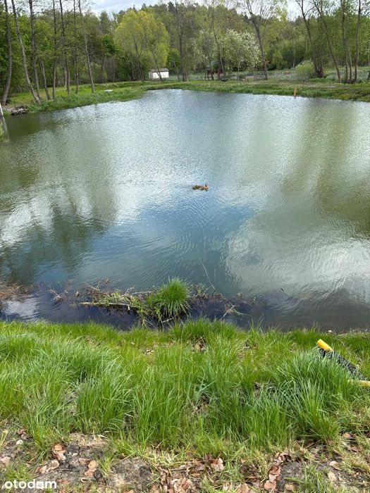 Dom wolnostojący 178m2 na obrzeżach miasta Włynkówko • OLX.pl