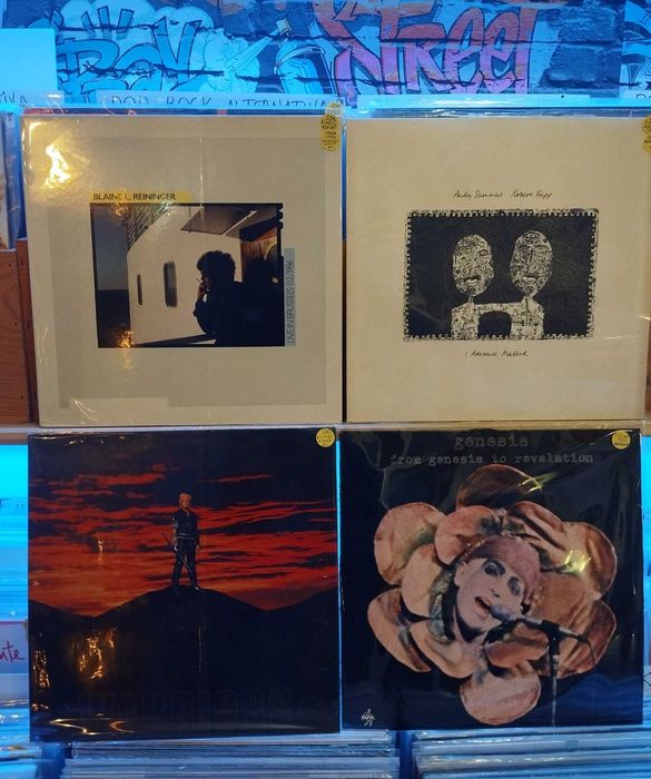 Vinil Guns N`Roses Bowie Dylan Smiths Nirvana Queen P.Floyd Doors Sade ...