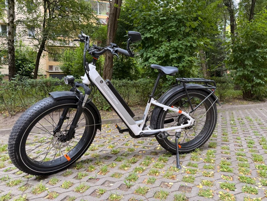 Rower elektryczny RadRhino – Rad Power Bikes – 250W – 48V – Fatbike ...