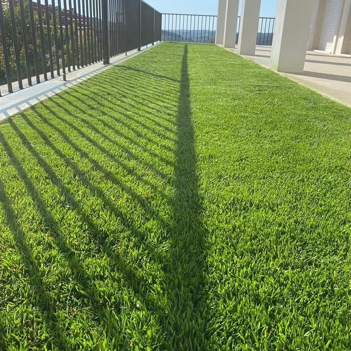 Relva natural em rolos Ponte do Rol • OLX Portugal