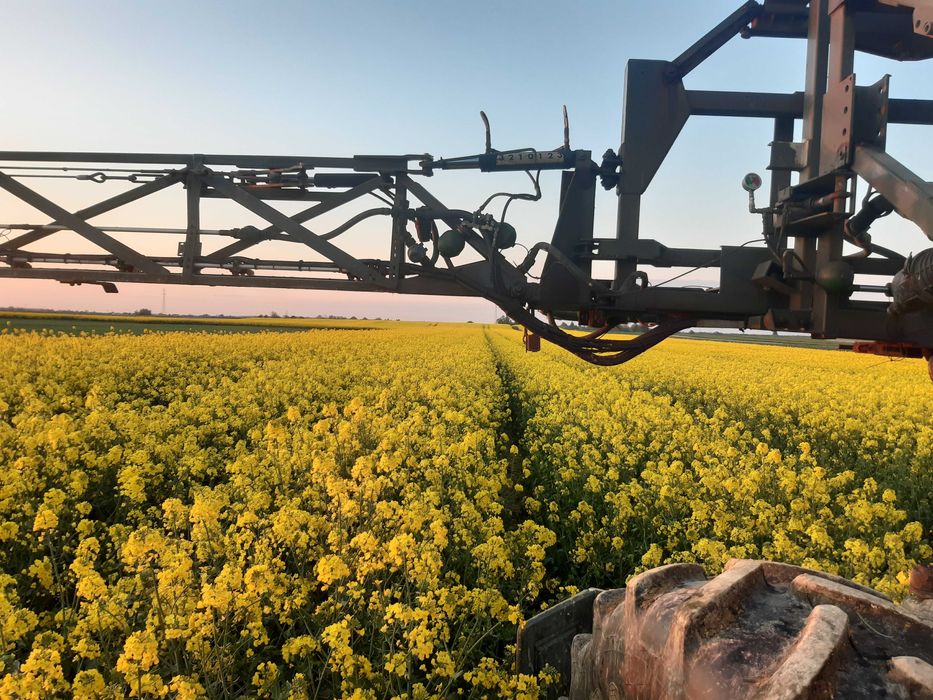 Sprzedam rolnictwo Lublin • OLX.pl