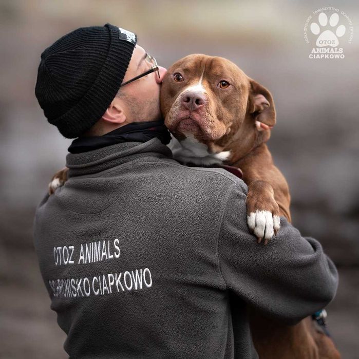 Claus szuka doświadczonego domu! OTOZ Animals Schronisko Ciapkowo ...