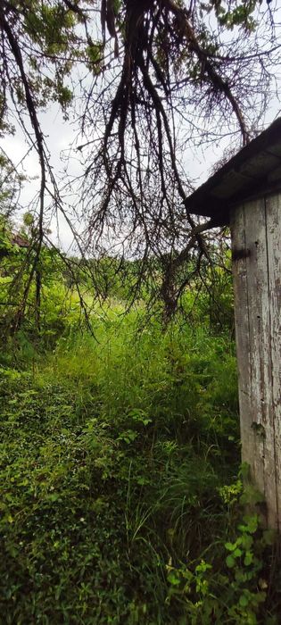 Дача на природе 100%: 3 500 $ - Продаж будинків Канів на Olx