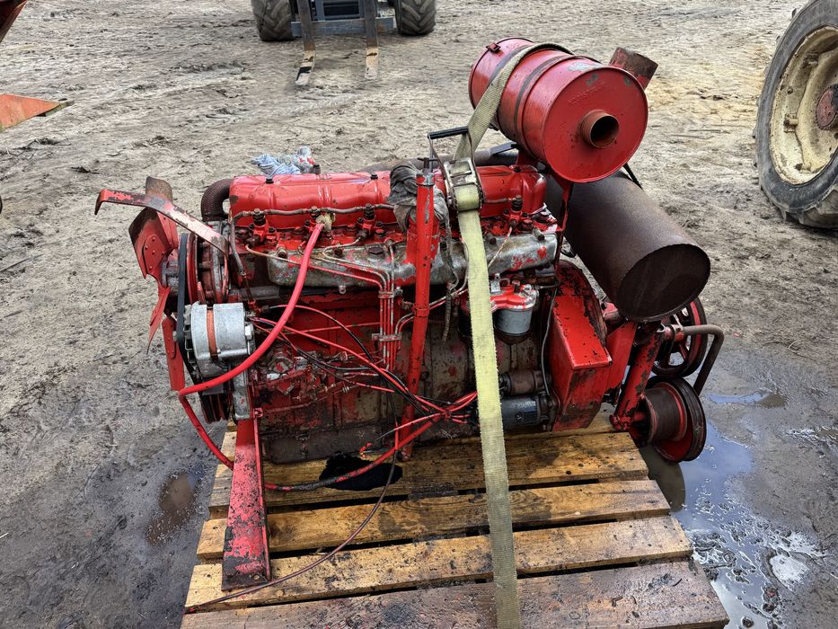 Silnik International case ih D310 6 cylindrów kompletny Zapole • OLX.pl