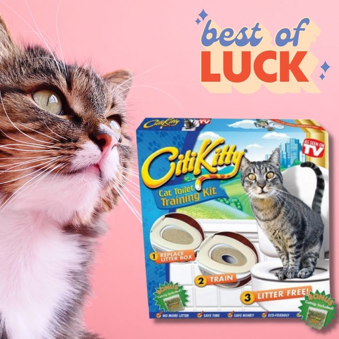 Система приучения кошек к унитазу Citi Kitty Cat Toilet Training: 220 ...