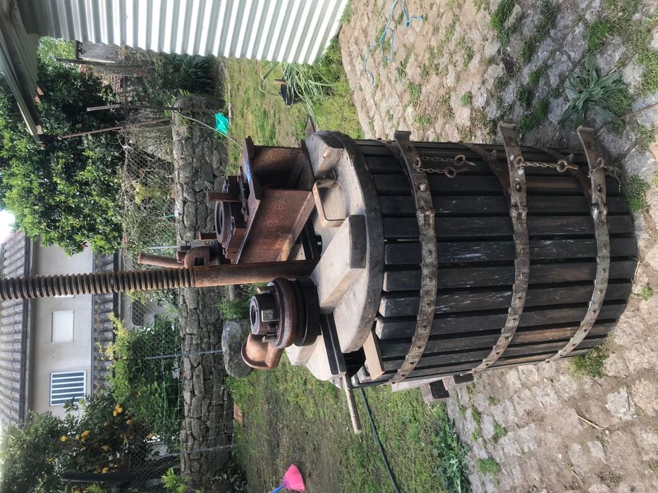 Prensa de uvas antiga Castêlo Da Maia • OLX.pt