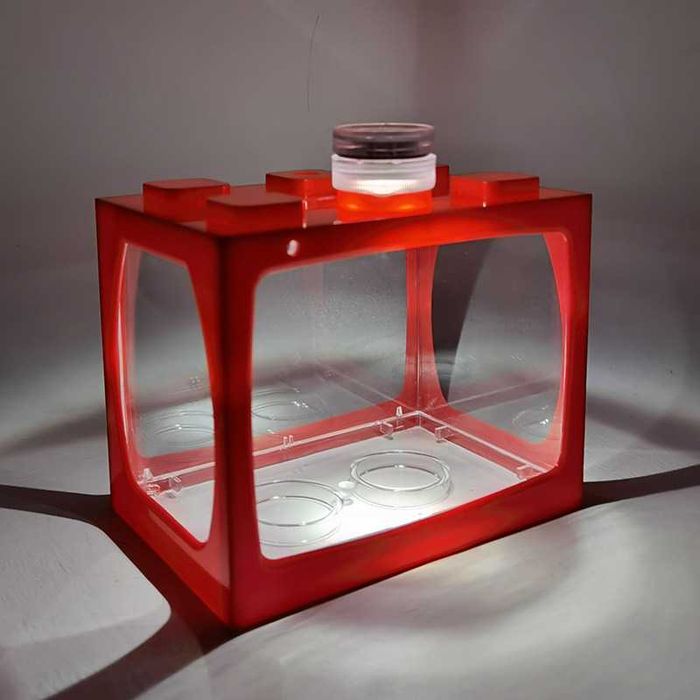 Małe Akwarium dla Ryb LED z Oświetleniem Ekologiczne + GRATIS Ostrów ...