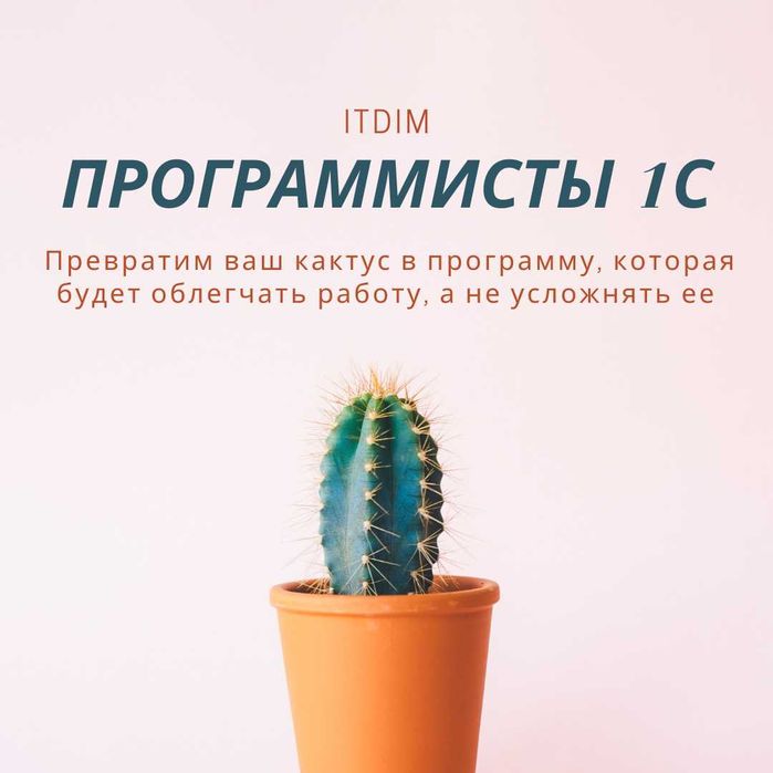 Обслуживание 1C\BAS, обновление 1C\BAS(доработка). Программист - Комп'ютерна техніка Одеса на Olx