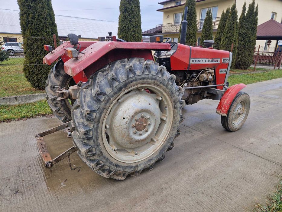 Massey Ferguson Mf255 Rok 1988 Oryginał 1900mth szanowany Korzenna • OLX.pl