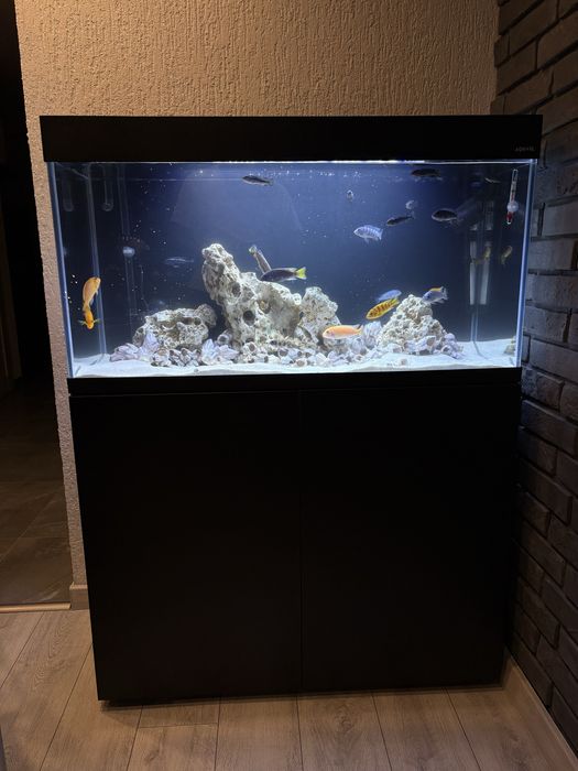 Akwarium AQUAEL OptiSet 200L – kompletne, gotowe do działania ...