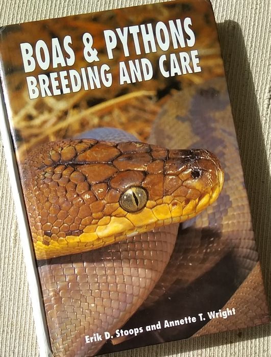 Cobras, guia de Boas & Pythons, Criação e cuidados Carcavelos E Parede ...