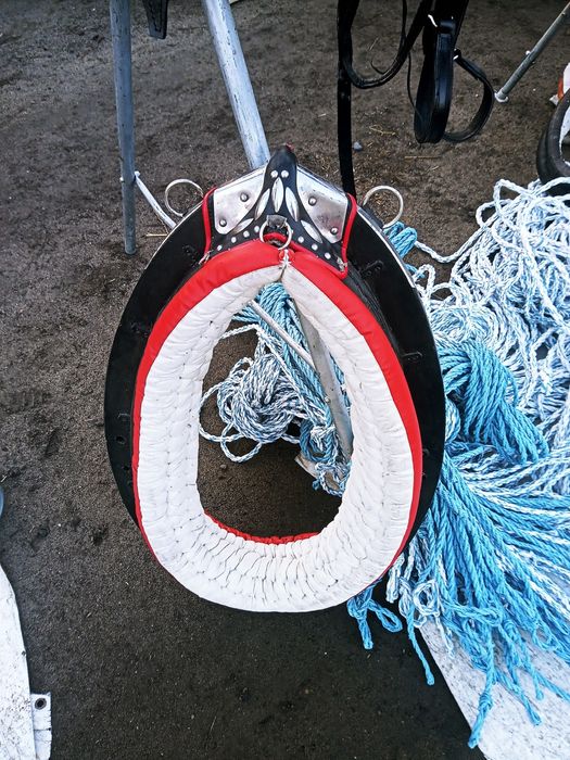 Homonto na konia uprząż Chmielnik • OLX.pl