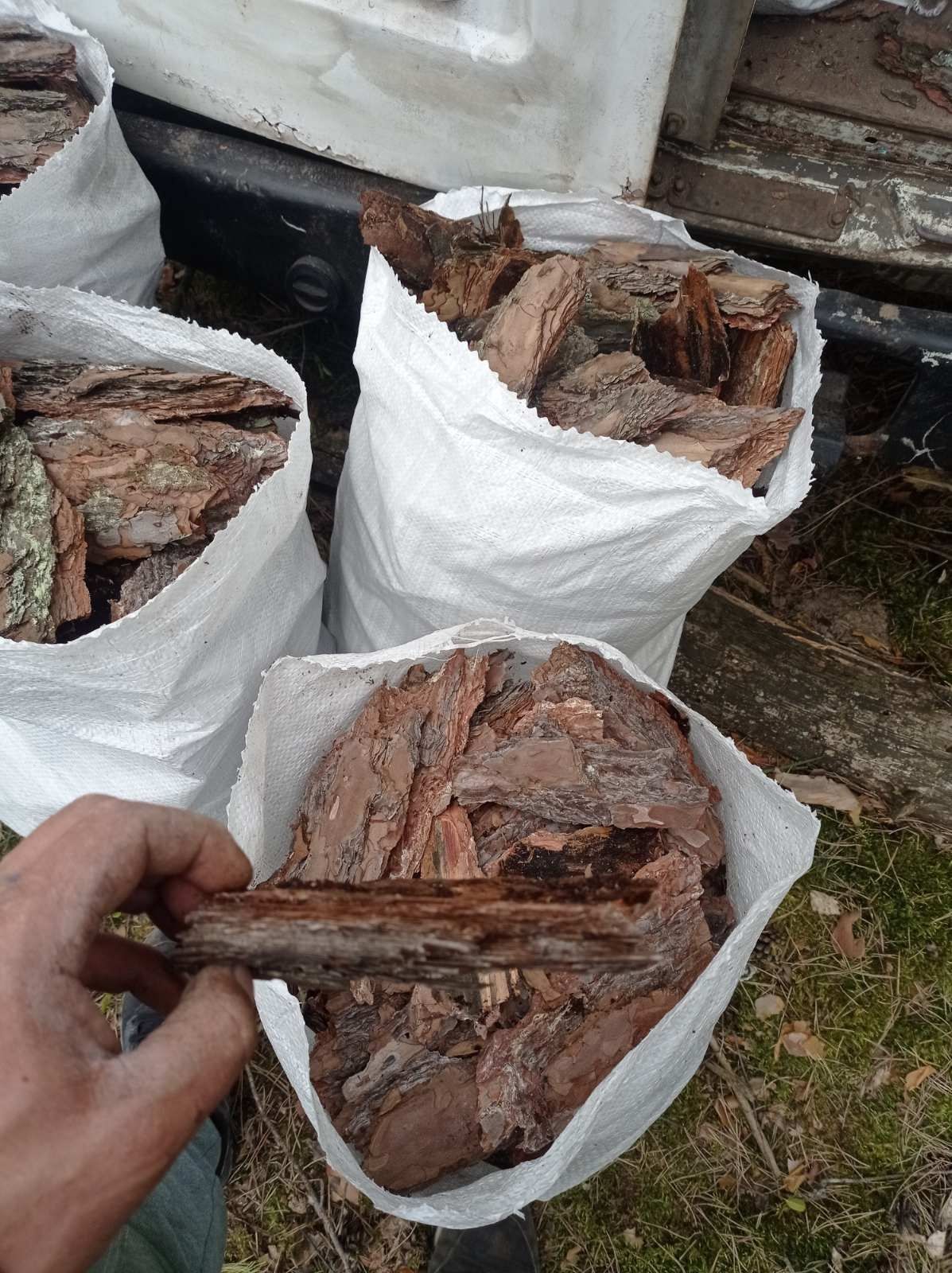 Кора соснова для декору: 85 грн. - Сад / огород Клавдиево-Тарасово на Olx