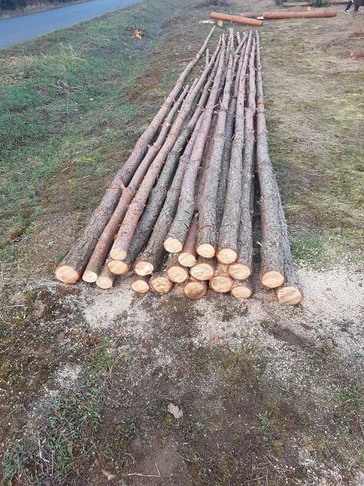 Stemble drewniane – mocne, proste Annopol • OLX.pl
