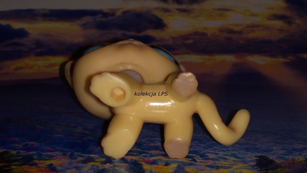 LPS Littlest Pet Shop shorthair #886 oryginalny kotek oryginał POP ...