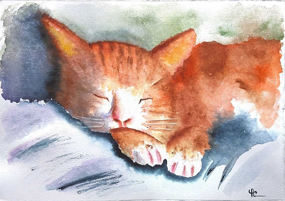 Obraz akwarelowy, kotek Słupsk • OLX.pl