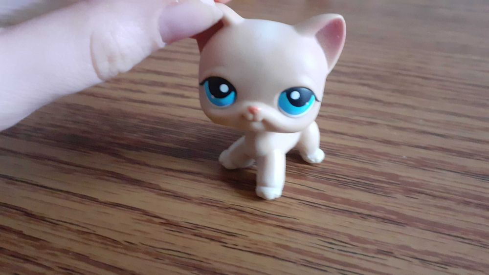 ORYGINALNY Lps pop shorthair kot littlest pet shop shothair Tarnowskie ...