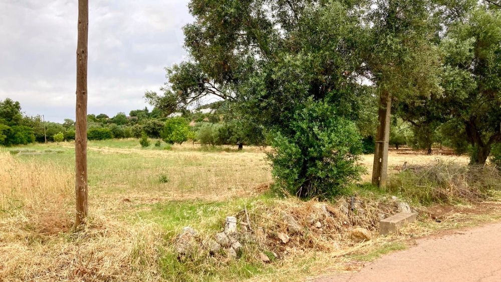 Terreno Rustico São Brás com Agua São Brás de Alportel • OLX.pt